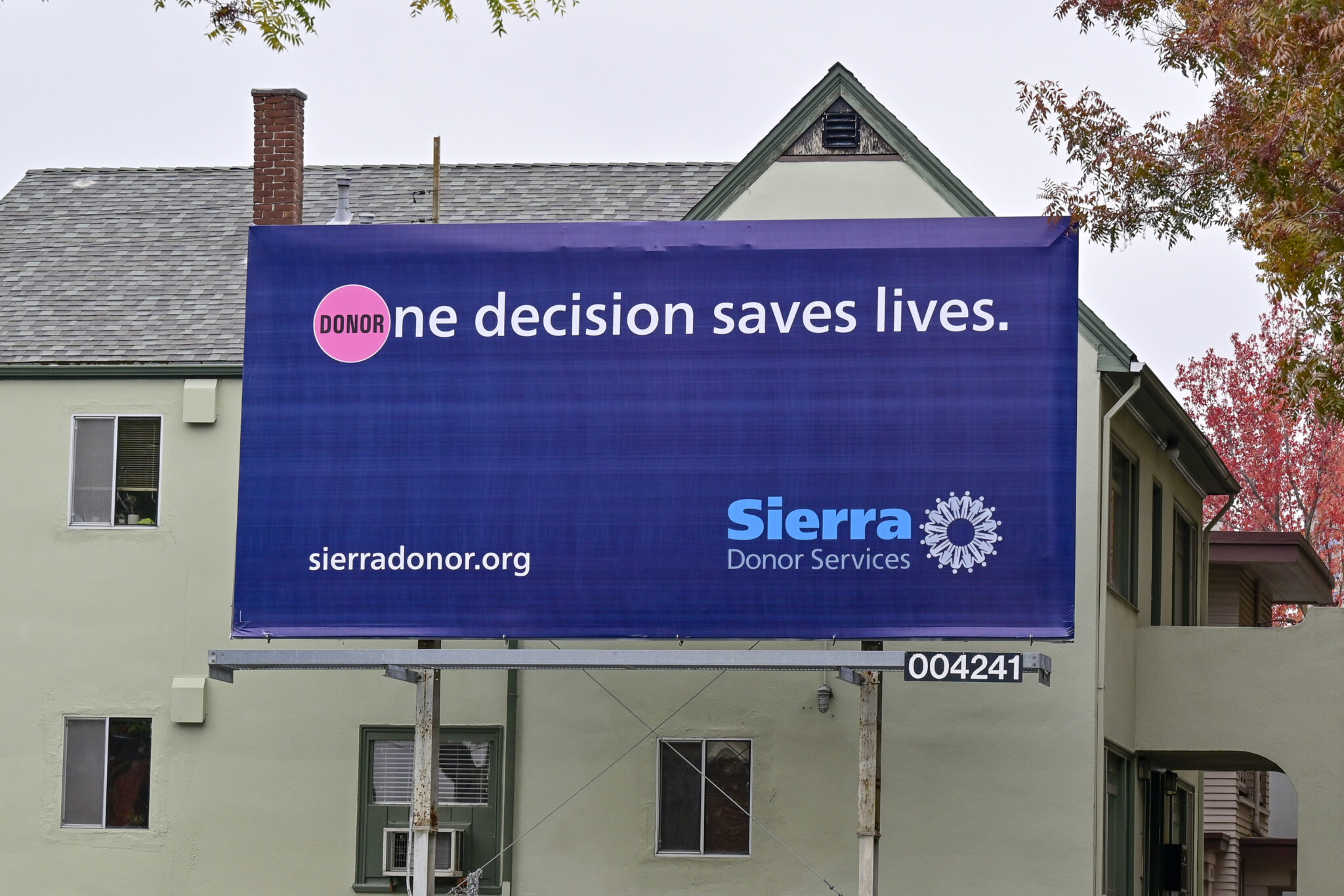 Spot the Dot on SDS Billboards Around the City! - Sierra Donor Services